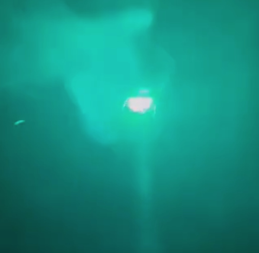 A Look Through the Lens