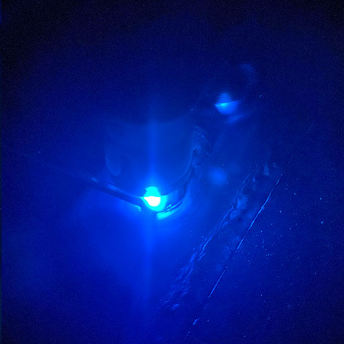 A Look Through the Lens